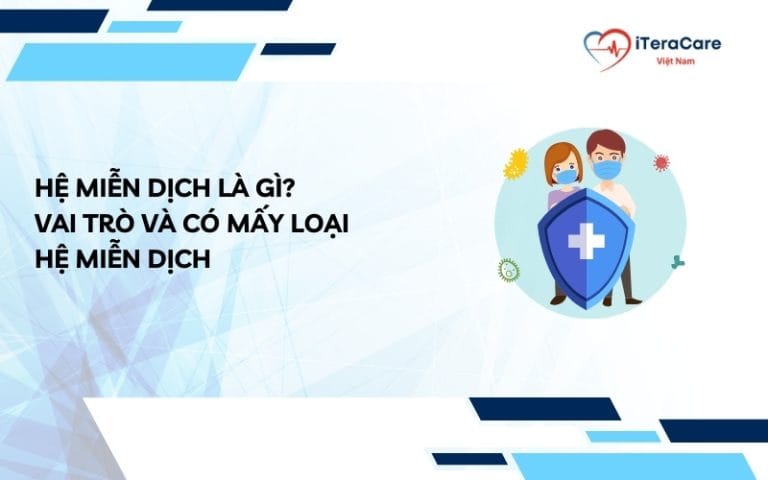 Hệ Miễn Dịch Là Gì? Vai Trò Và Có Mấy Loại Hệ Miễn Dịch